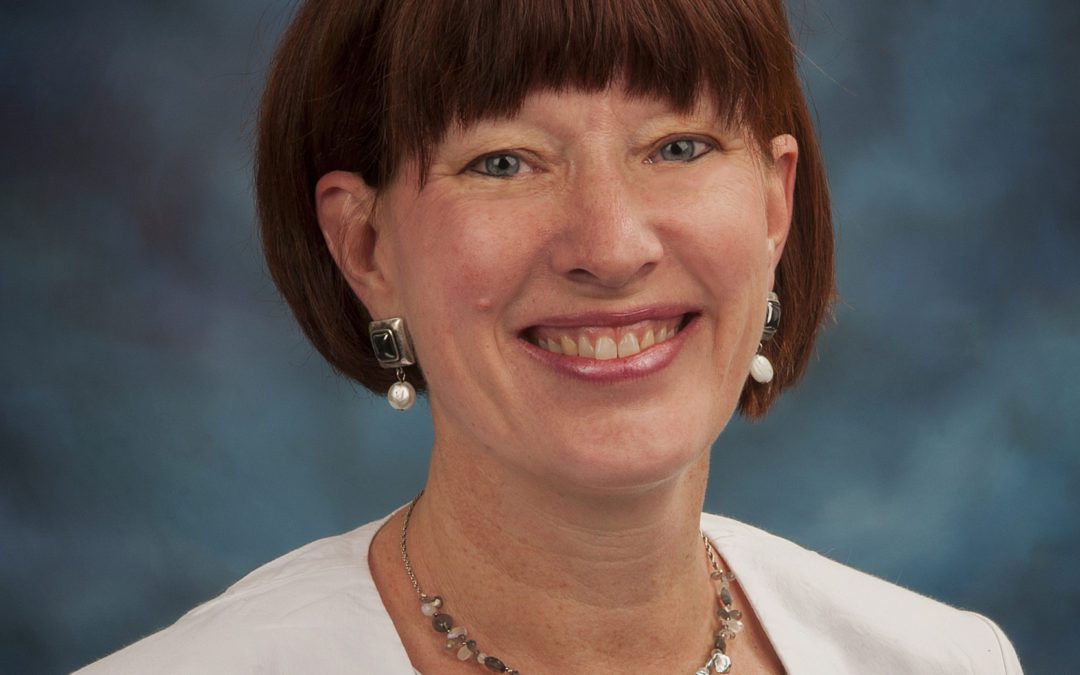 Government Archives - The Chicago Network