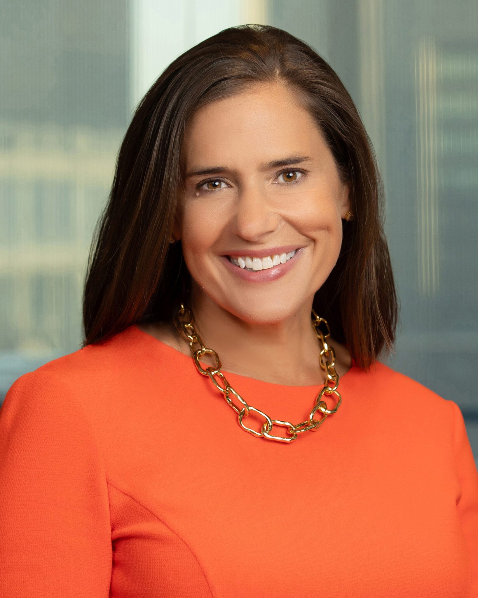 Sara Ann Greenstein - The Chicago Network