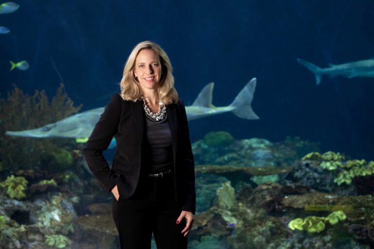 Bridget Coughlin - The Chicago Network